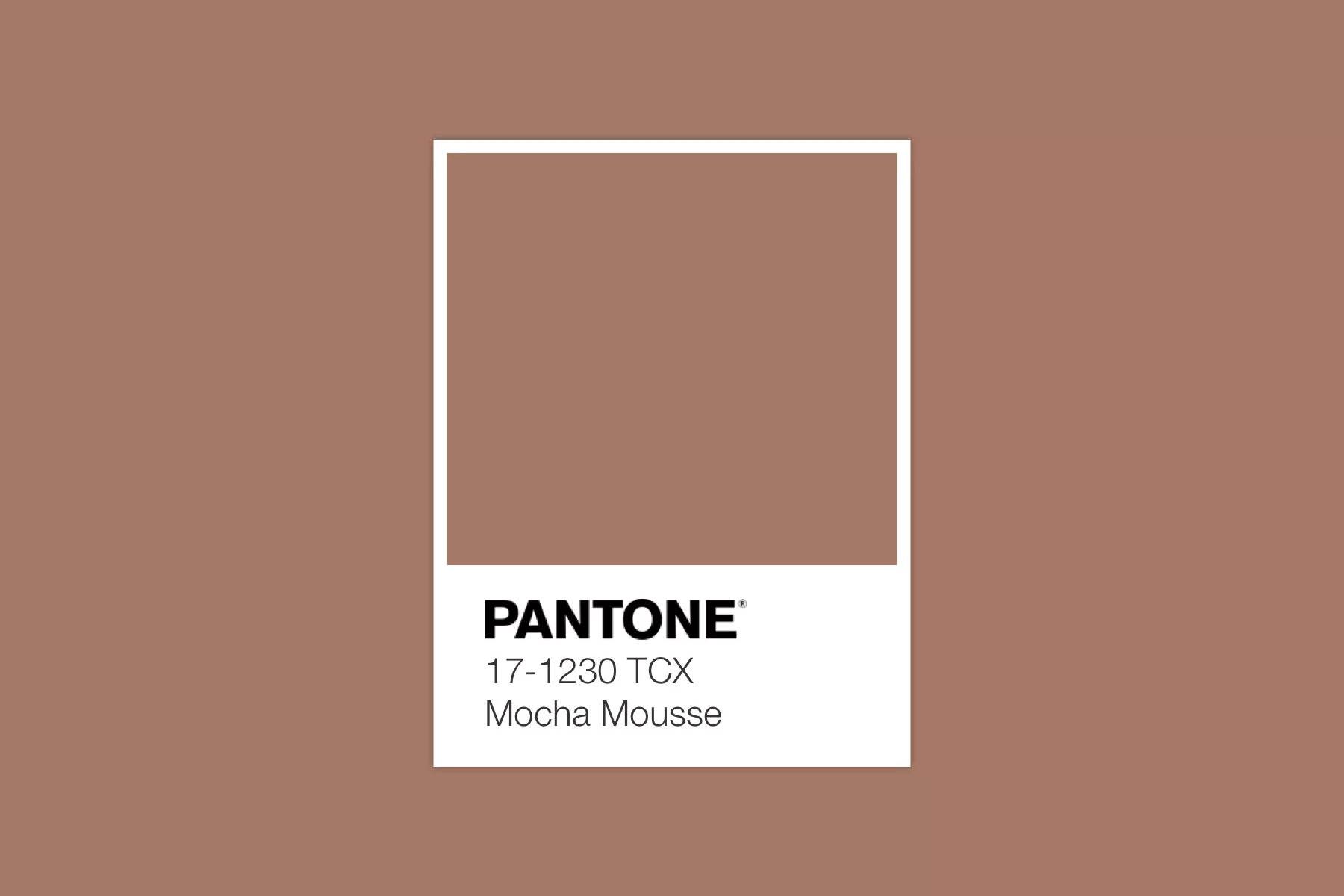 Styling Hardware with 2025’s Pantone Colour of the Year: Mocha Mousse ...